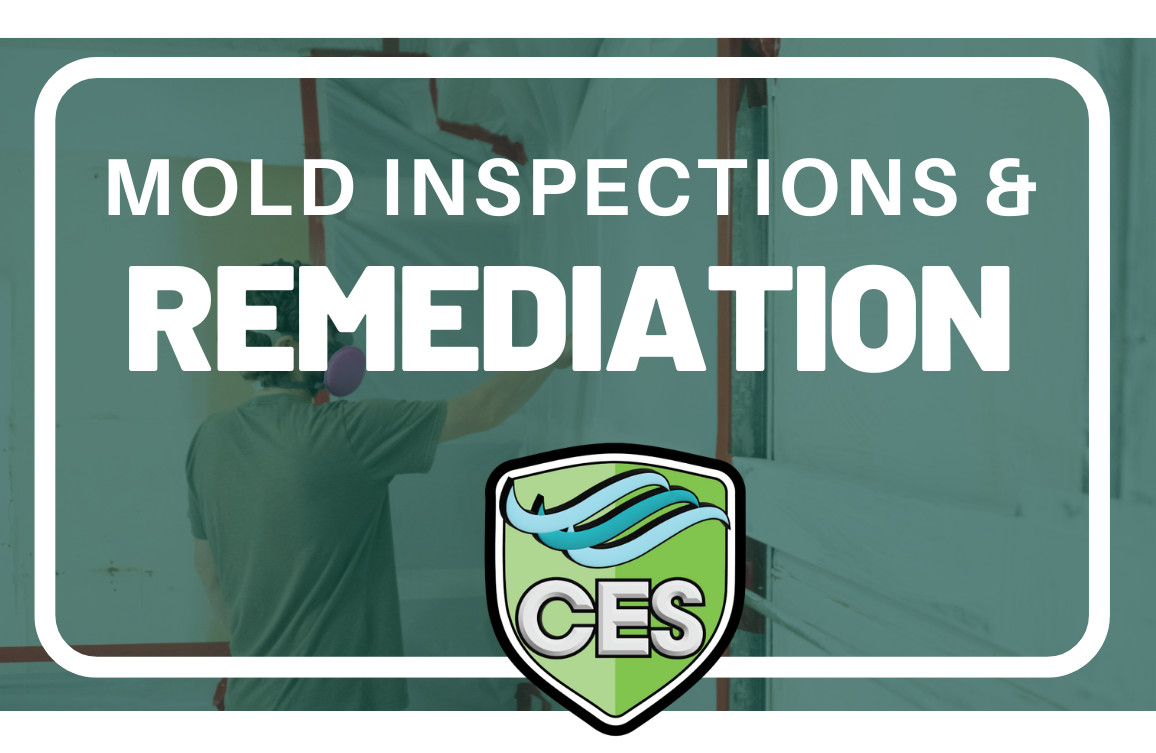 Mold Remediation in Savannah Ga - Coastal Environment Services